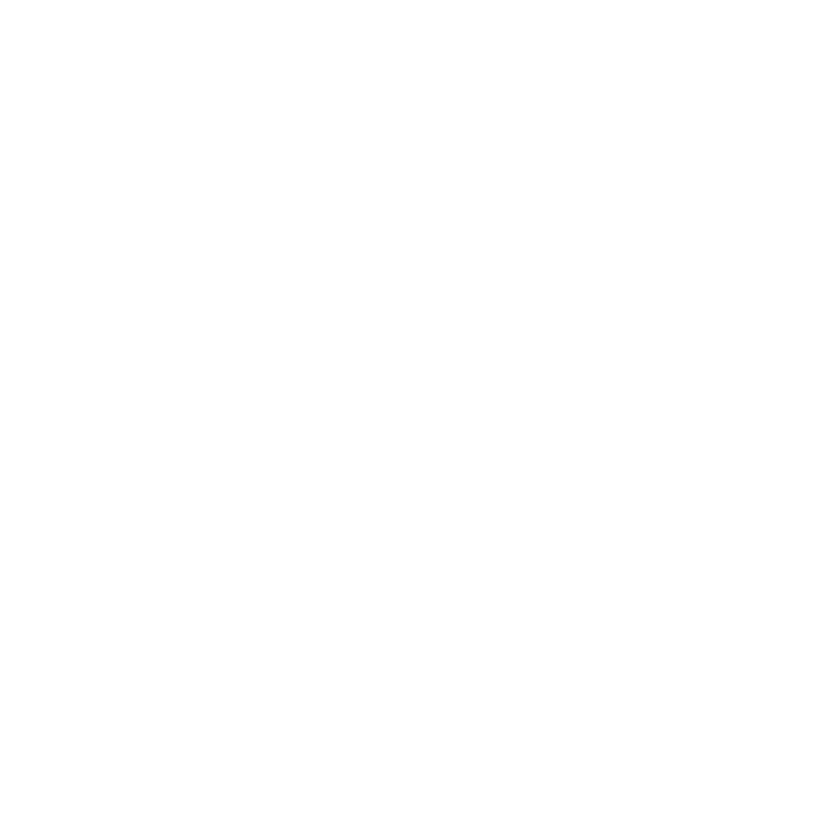 Center for Economic & Financial Development – Indonesian Business Council